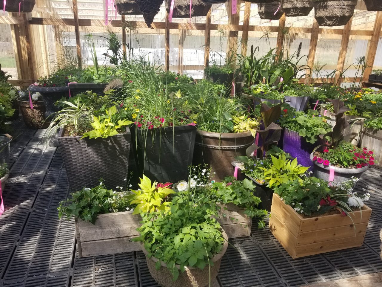 About Us | Swalwell Green House